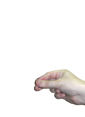 Appearing Rose - Funtime Magic