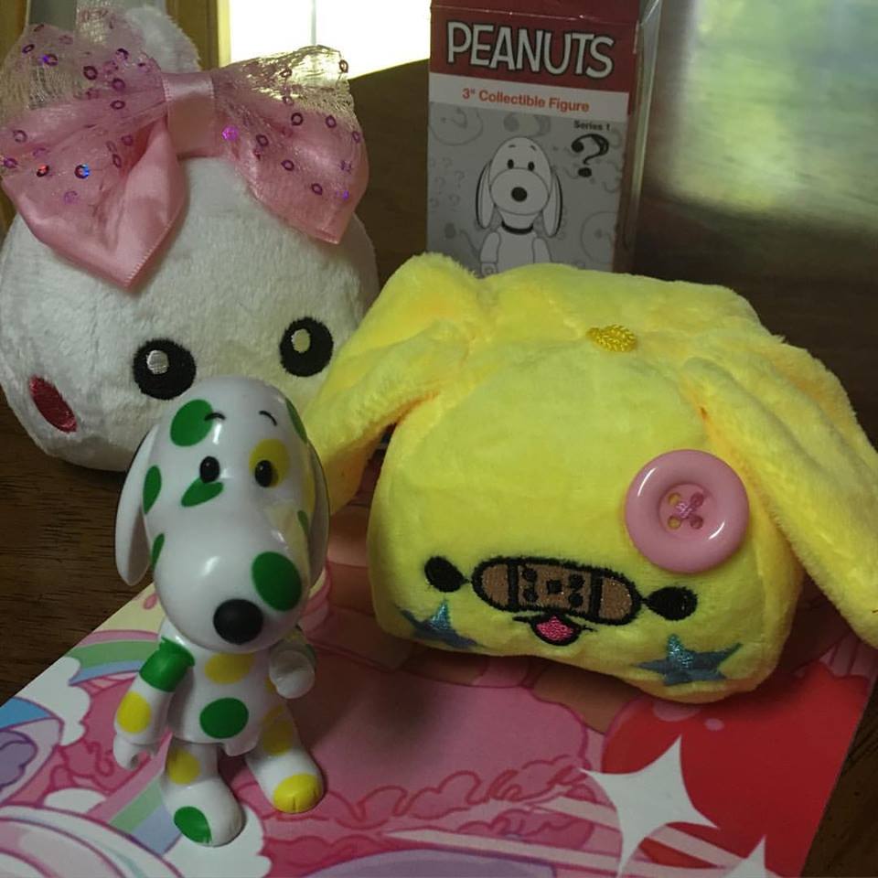 Doki Doki June Box Opening Subscription Crate Review – kawaiifluff