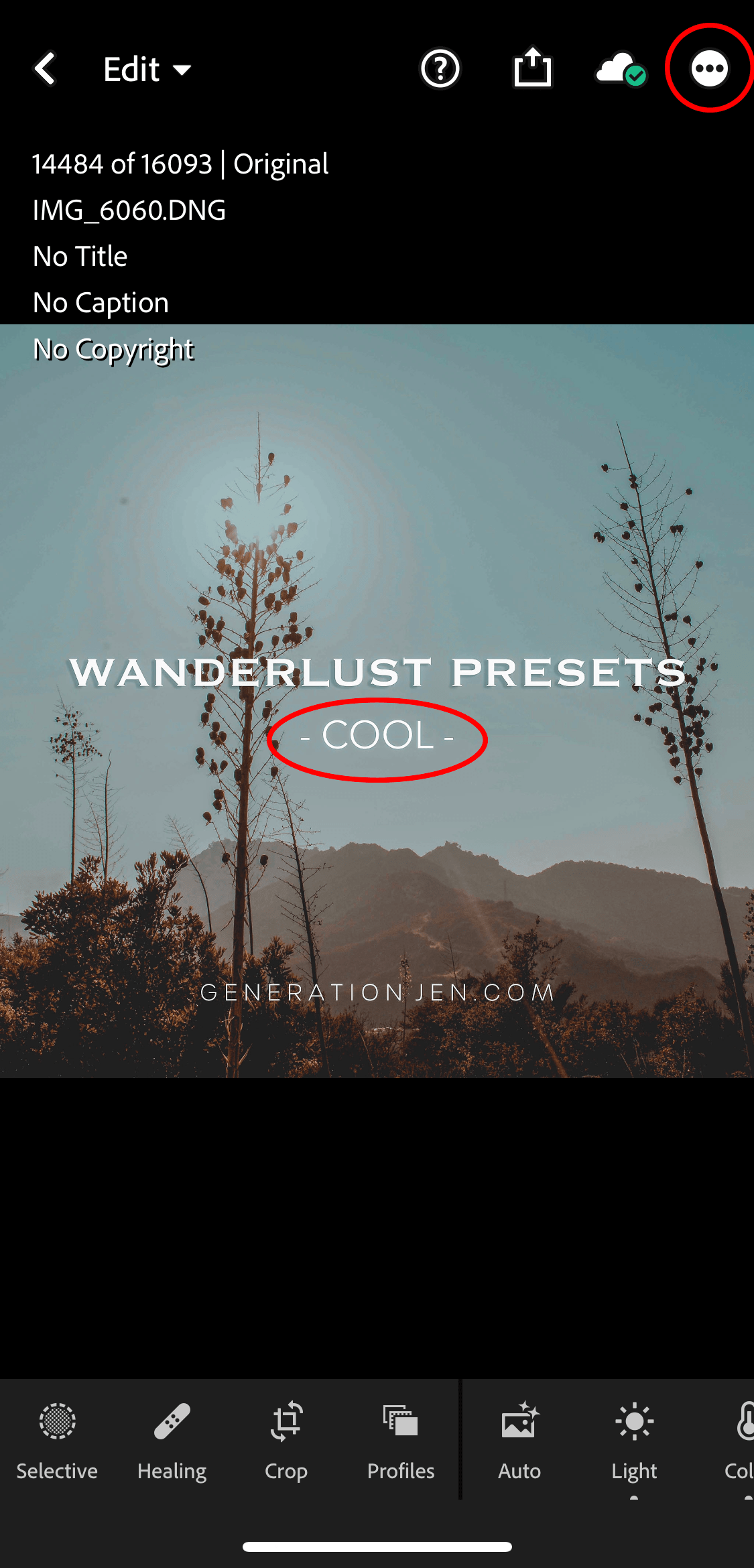 Preset Installation Guide - Generation Jen