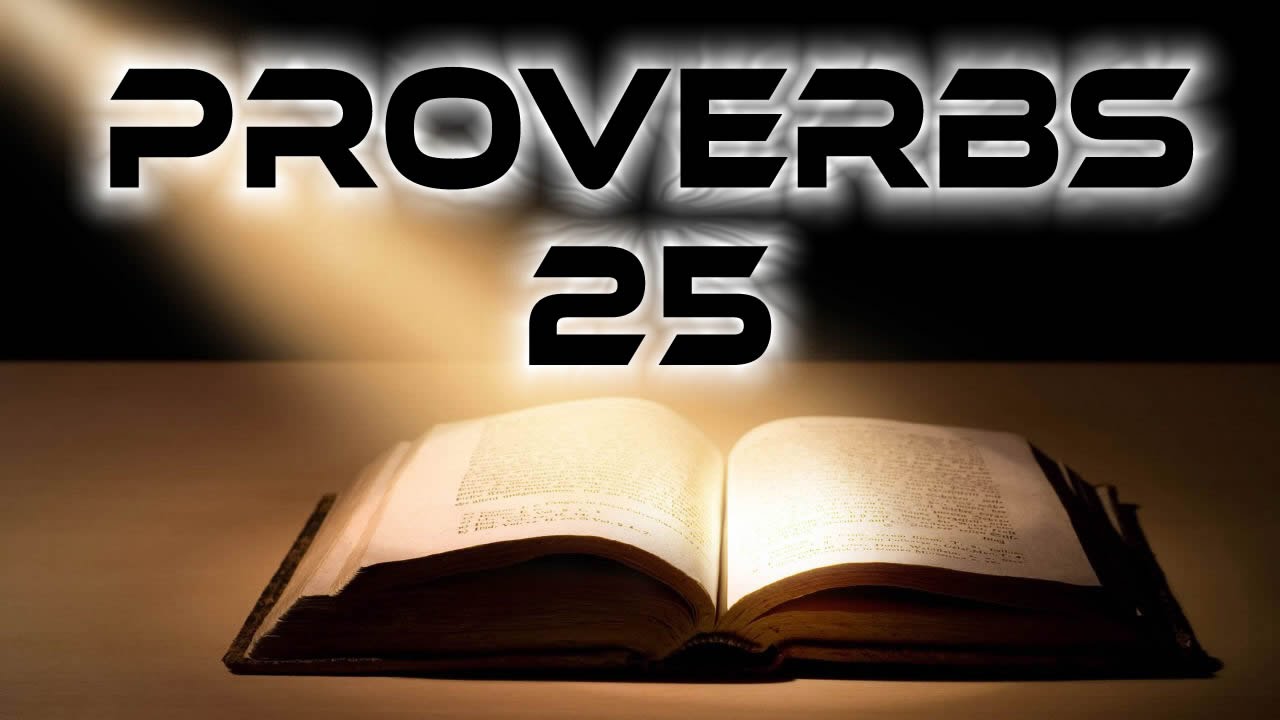 Daily Proverb - Proverbs 25 - Daily Bible Reading - Godly Ladies