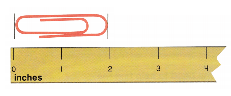 Texas Go Math Grade 2 Lesson 16.2 Answer Key Measure with an Inch Ruler ...