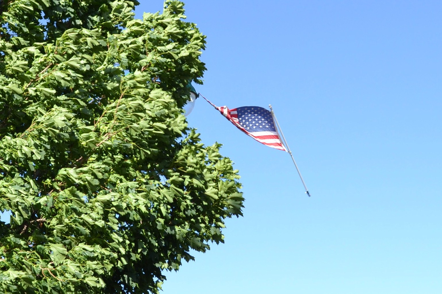 Summerfest~ The Big Blow-out – Gracious Rain