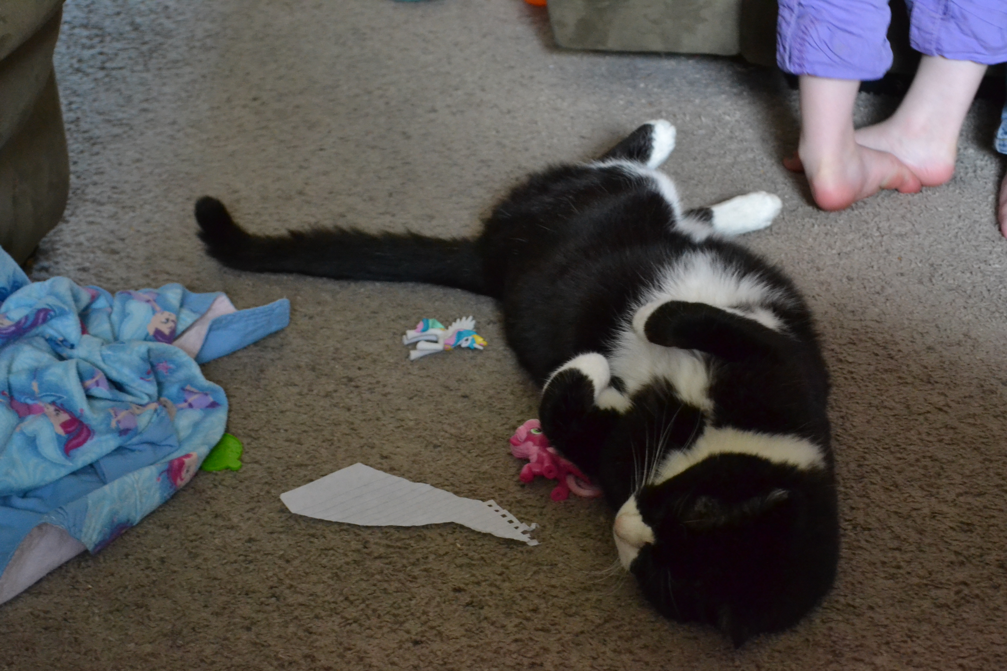 One Tough Cat – Gracious Rain