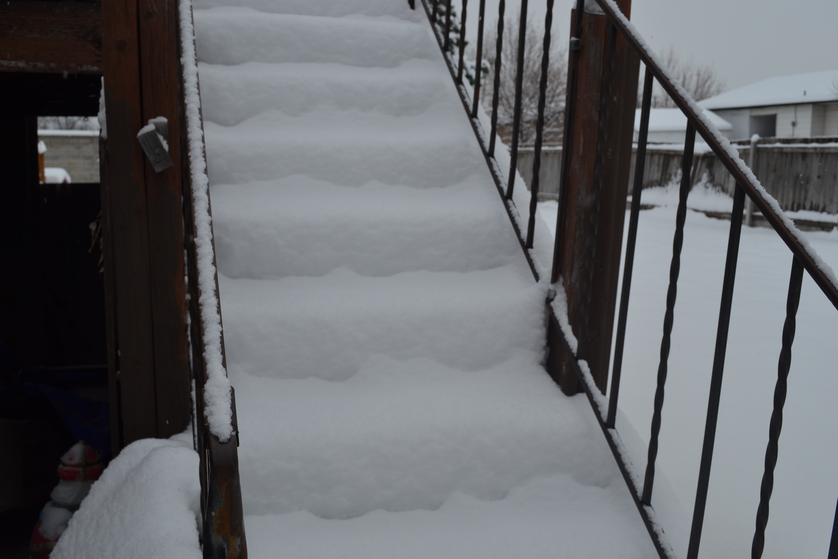 ~Basking~ – Gracious Rain