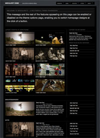 Modfolio - A Wordpress child theme for Modularity