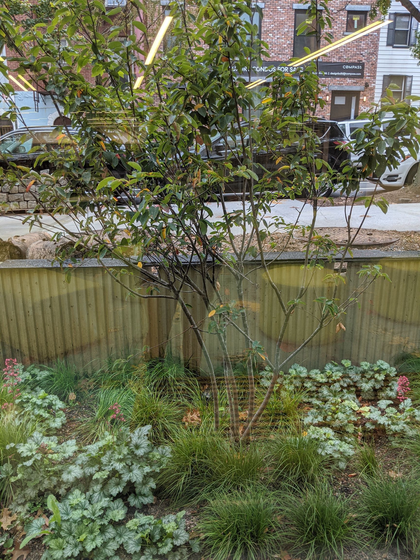 6-MVp-g - Greenpointers