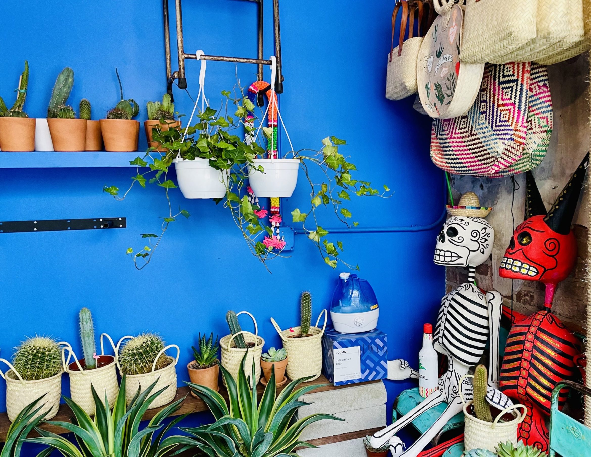 The Cactus Shop, a Plant Store and Speakeasy Cantina, To Open in ...