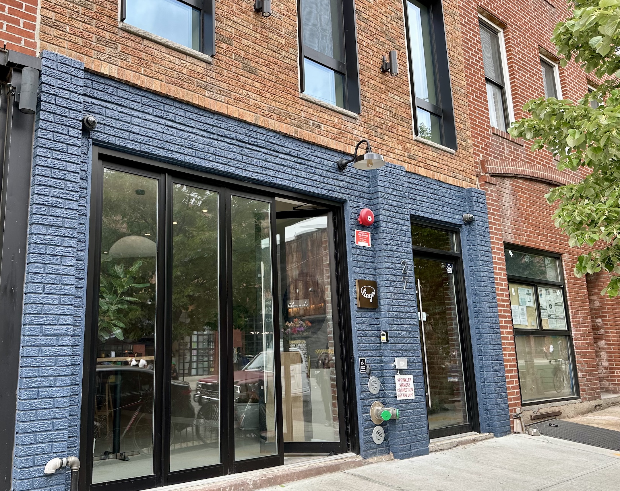 Greenpoint's Lingo Opens After Lengthy Delay - Greenpointers