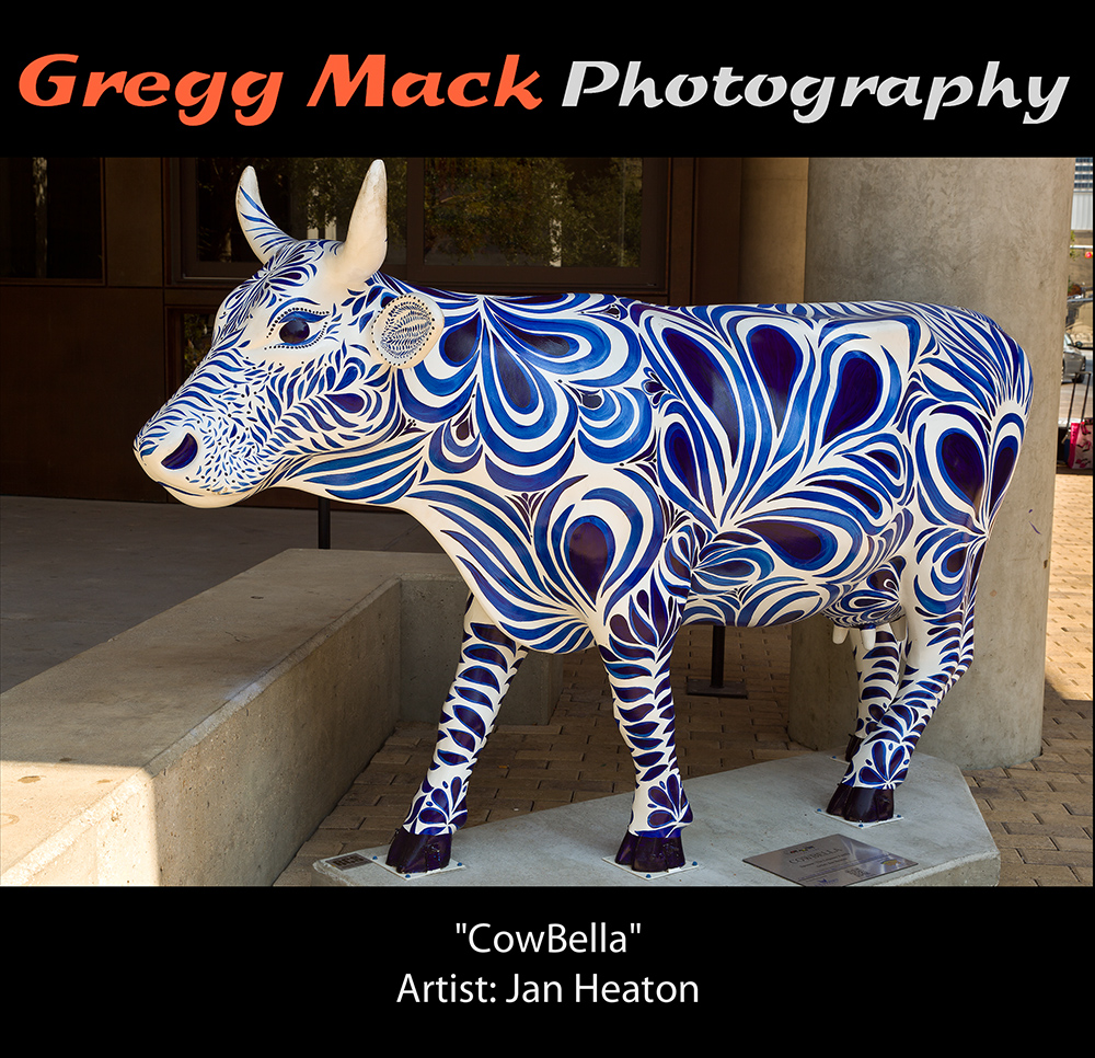 CowParade Austin Calendar – April – CowBella | Gregg Mack Photography