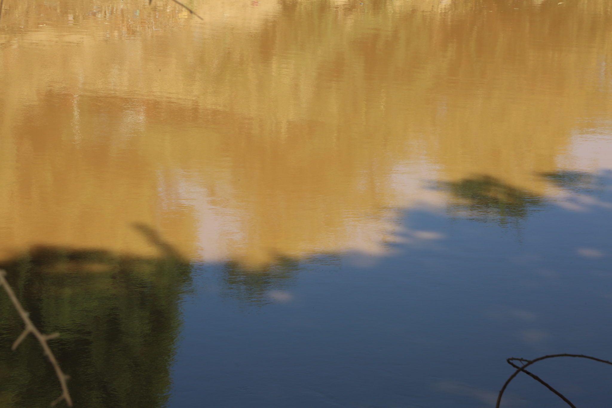 Wabiga Shabeelle Oo Biyo Keenay - Halbeeg News