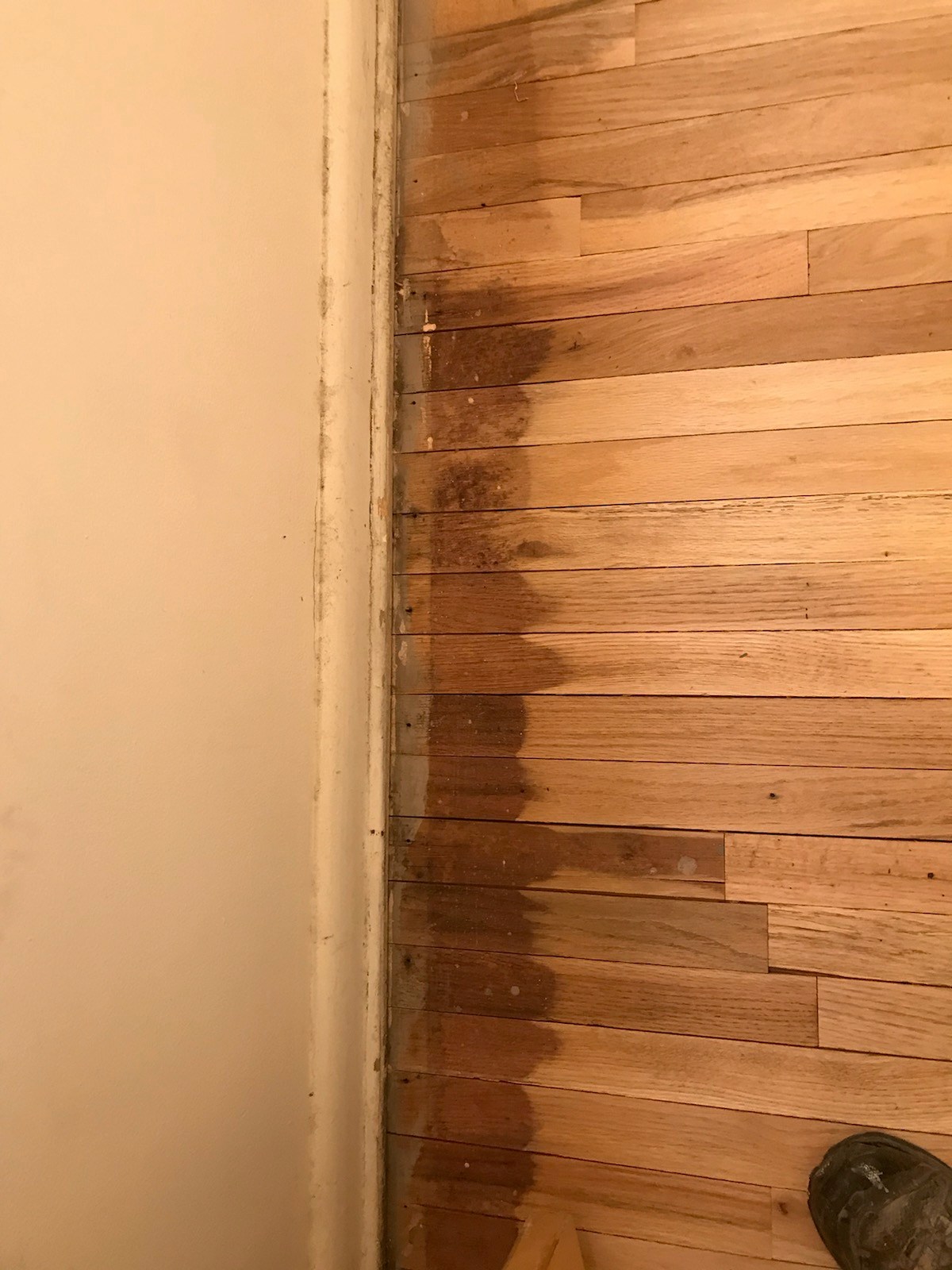 Refinish Red Oak Hardwood in Salt Lake City