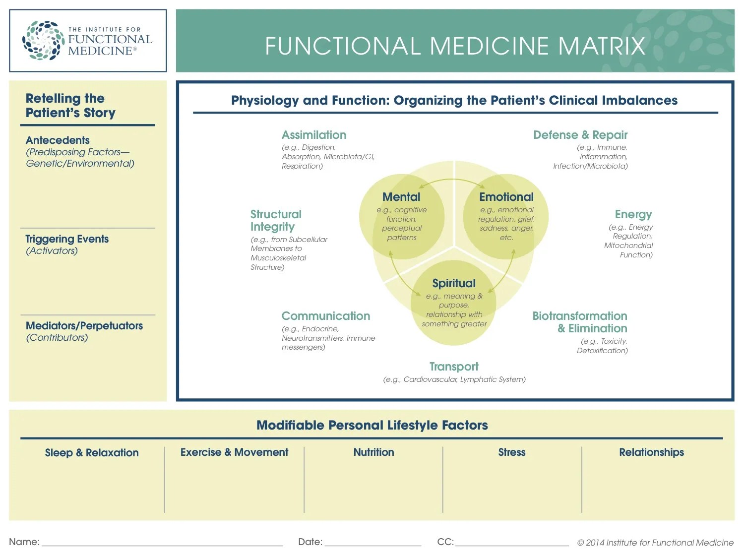 IFM_Teaching_Matrix - Healing Multiple Sclerosis