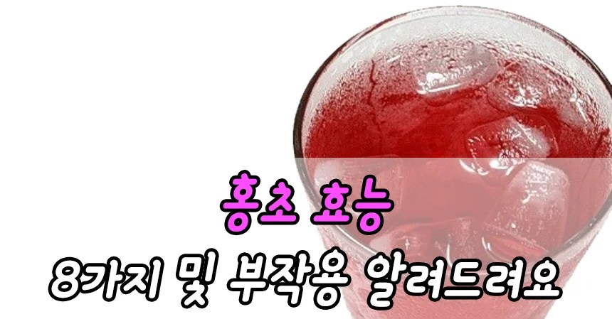 홍초 효능 8가지 및 부작용 알려드려요 건강한 식사