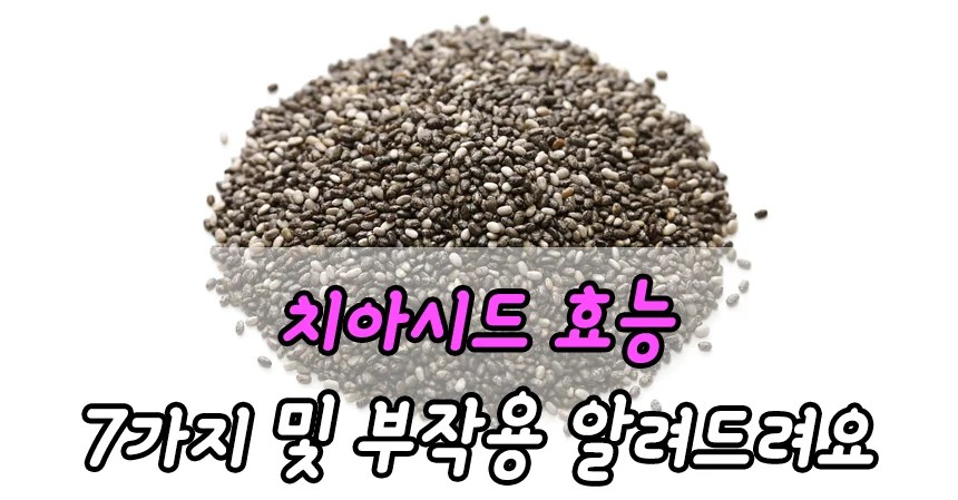 치아시드 효능 7가지 및 부작용 알려드려요 건강한 식사