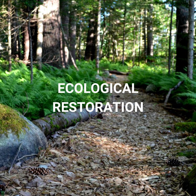 Helping Nature Heal | Ecological Restoration | Bridgewater Nova Scotia