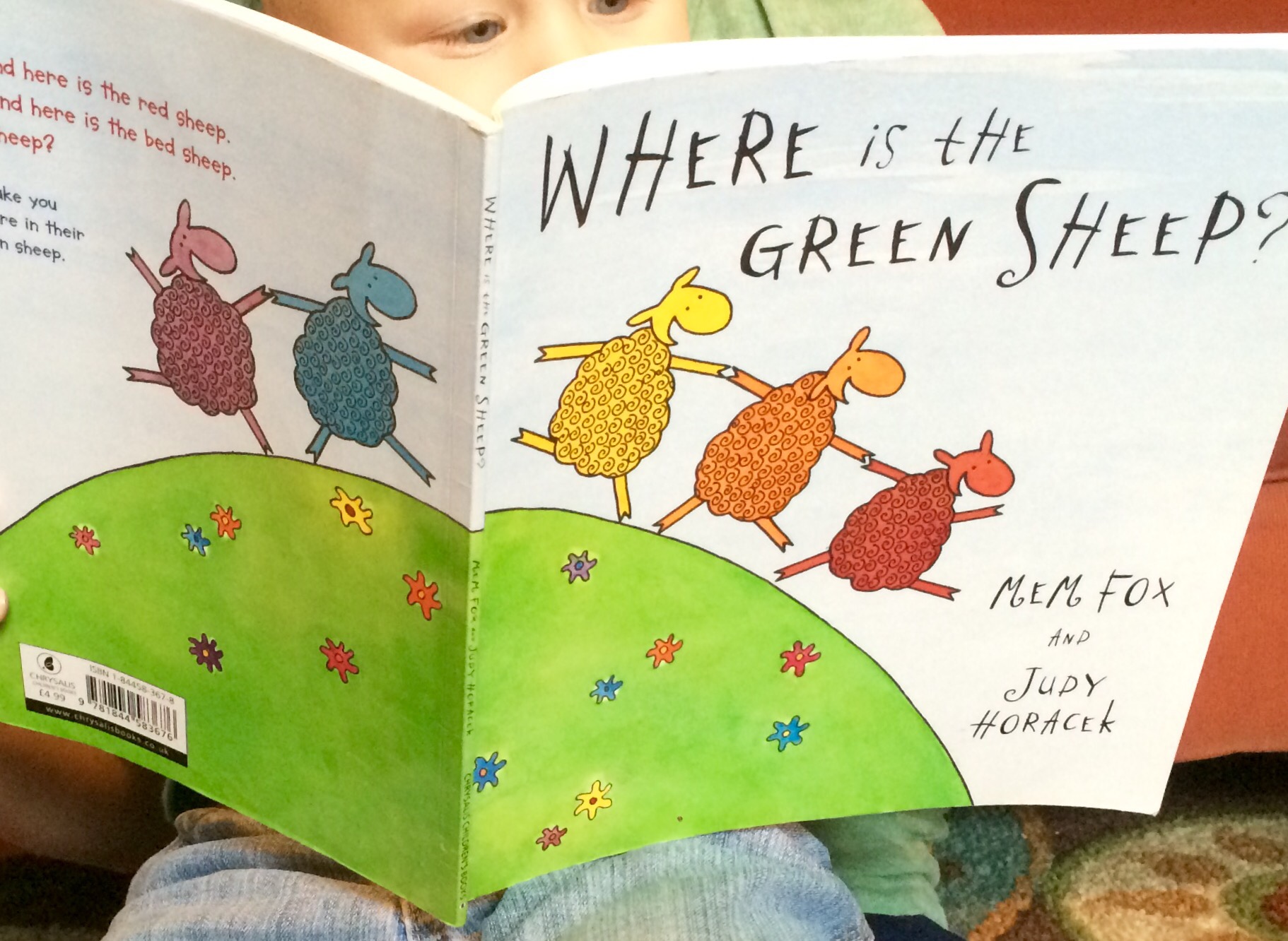 Where is the Green Sheep? - Homegrown Reader