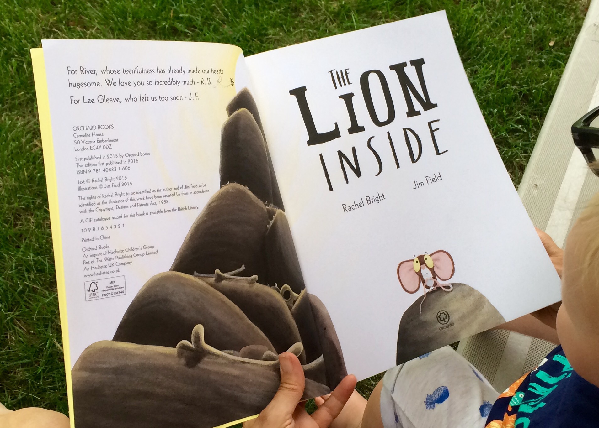 Lion Inside - Homegrown Reader