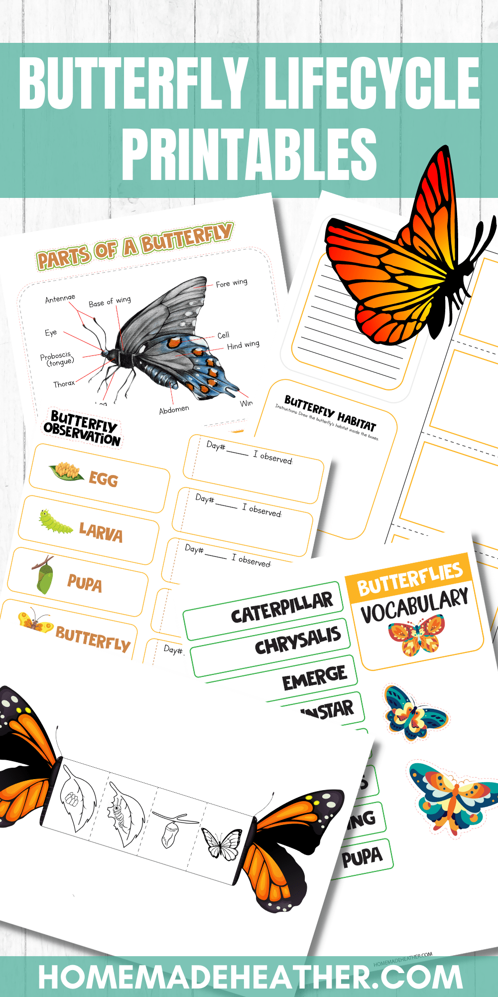 Butterfly Life Cycle Free Printables