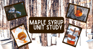 58+ Maple Syrup Unit Study Ideas (Learn About Maple Syrup Sugaring For ...