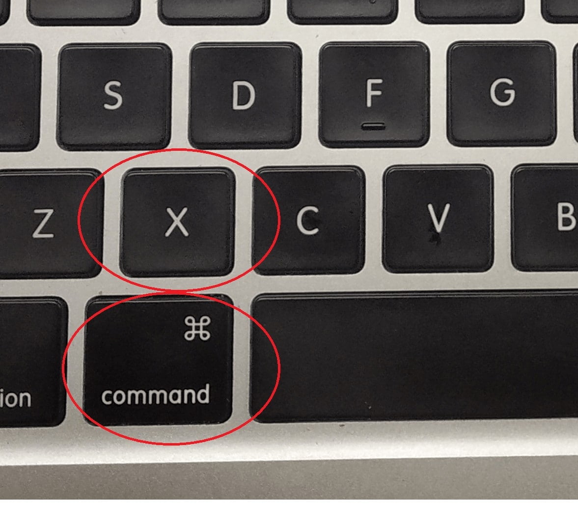 how-to-cut-and-paste-in-mac-with-easy-steps