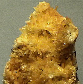 Ethan's Science Blog | The aswomest blog from Robby's class! Its ...