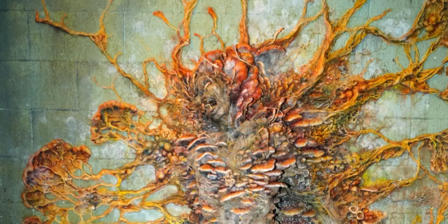 How Real Is 'the Last of Us'? Scientific Possibility of Fungal Pandemic ...