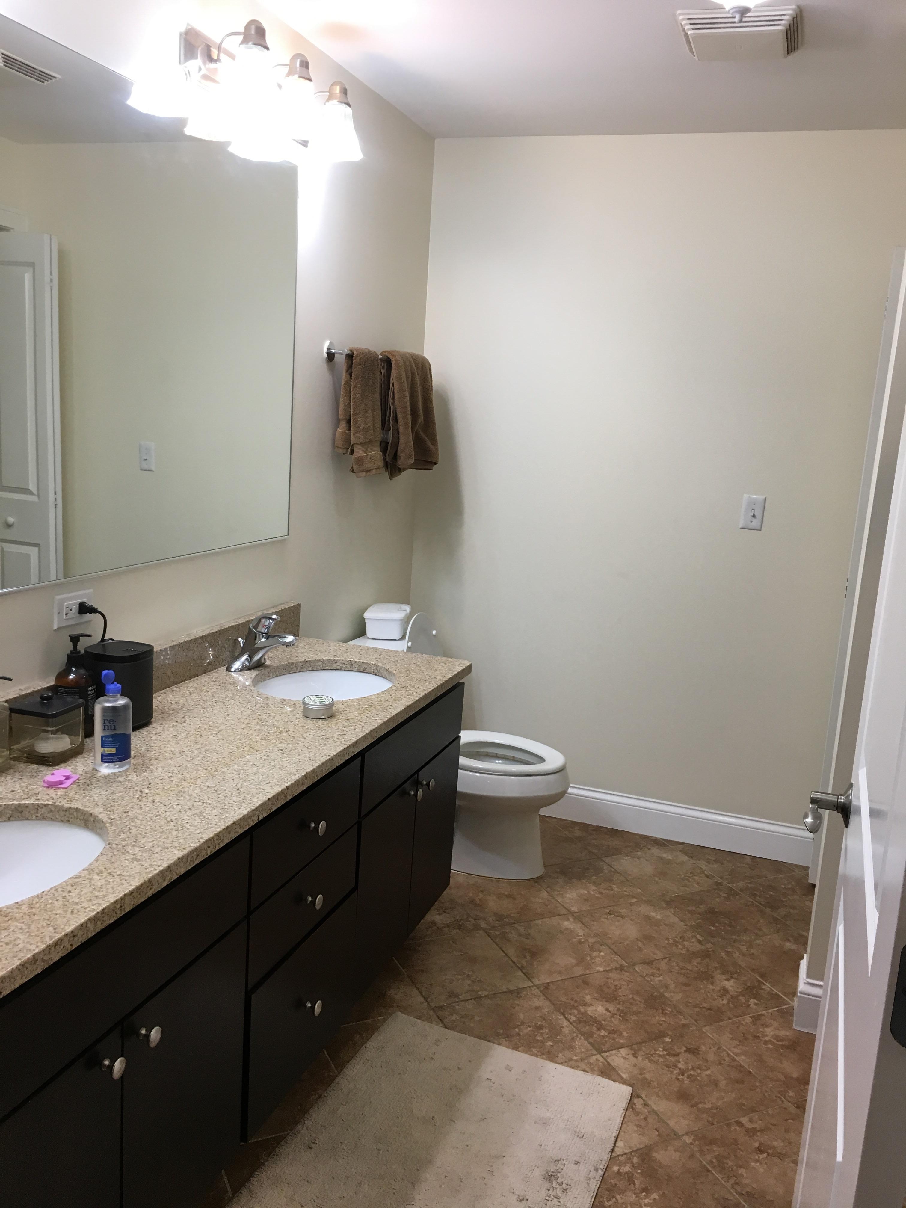 Bathroom Design/Decorating Help malelivingspace