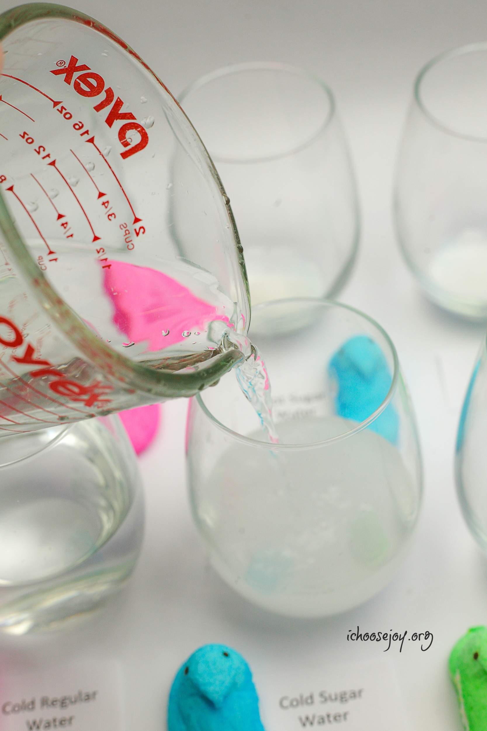 Dissolving Peeps Experiment: STEM Activity for Eastertime - I Choose Joy!