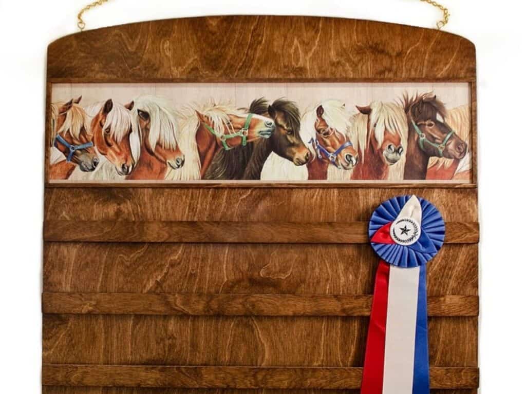 5 Unique Ways to Display Horse Show Ribbons in Your Home