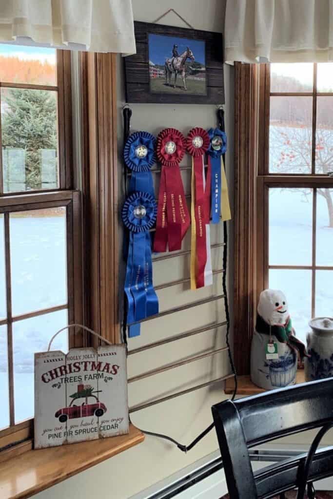 5 Unique Ways to Display Horse Show Ribbons in Your Home