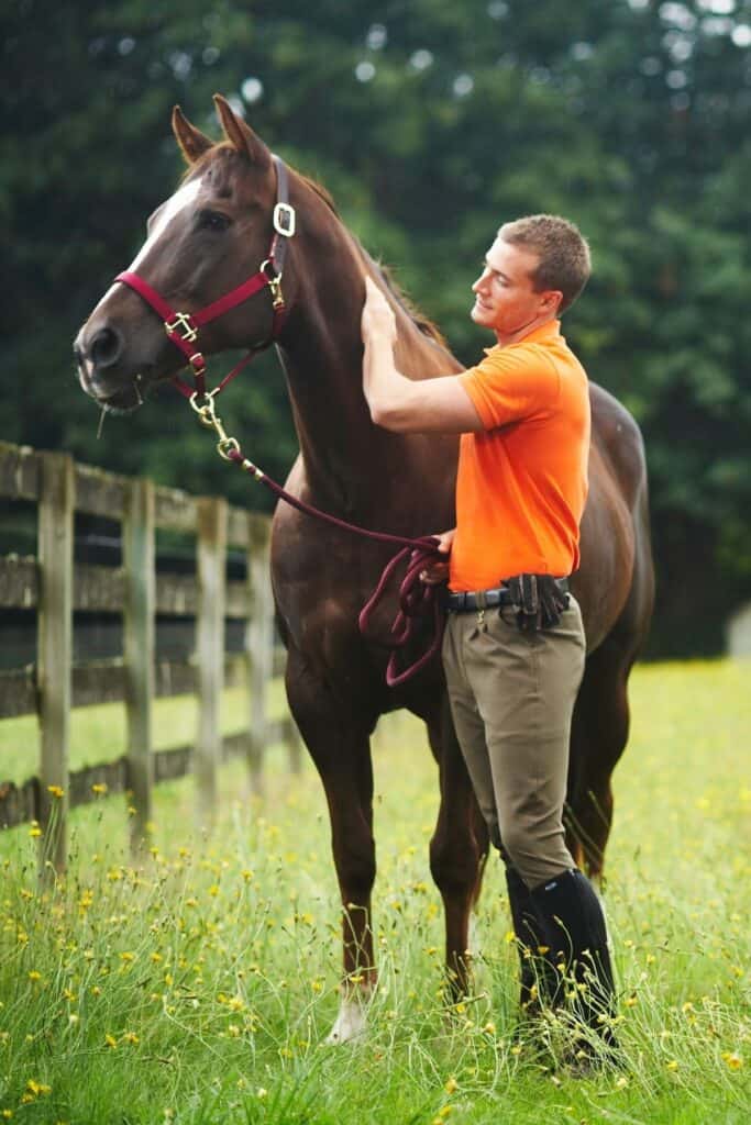 5 Painful Horse Injuries to Watch For and Treat Immediately