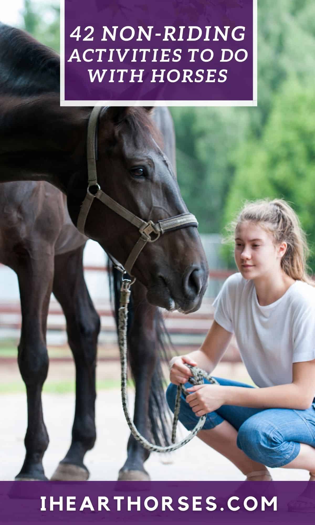 42 Fun Non-Riding Activities to Do With Your Horse