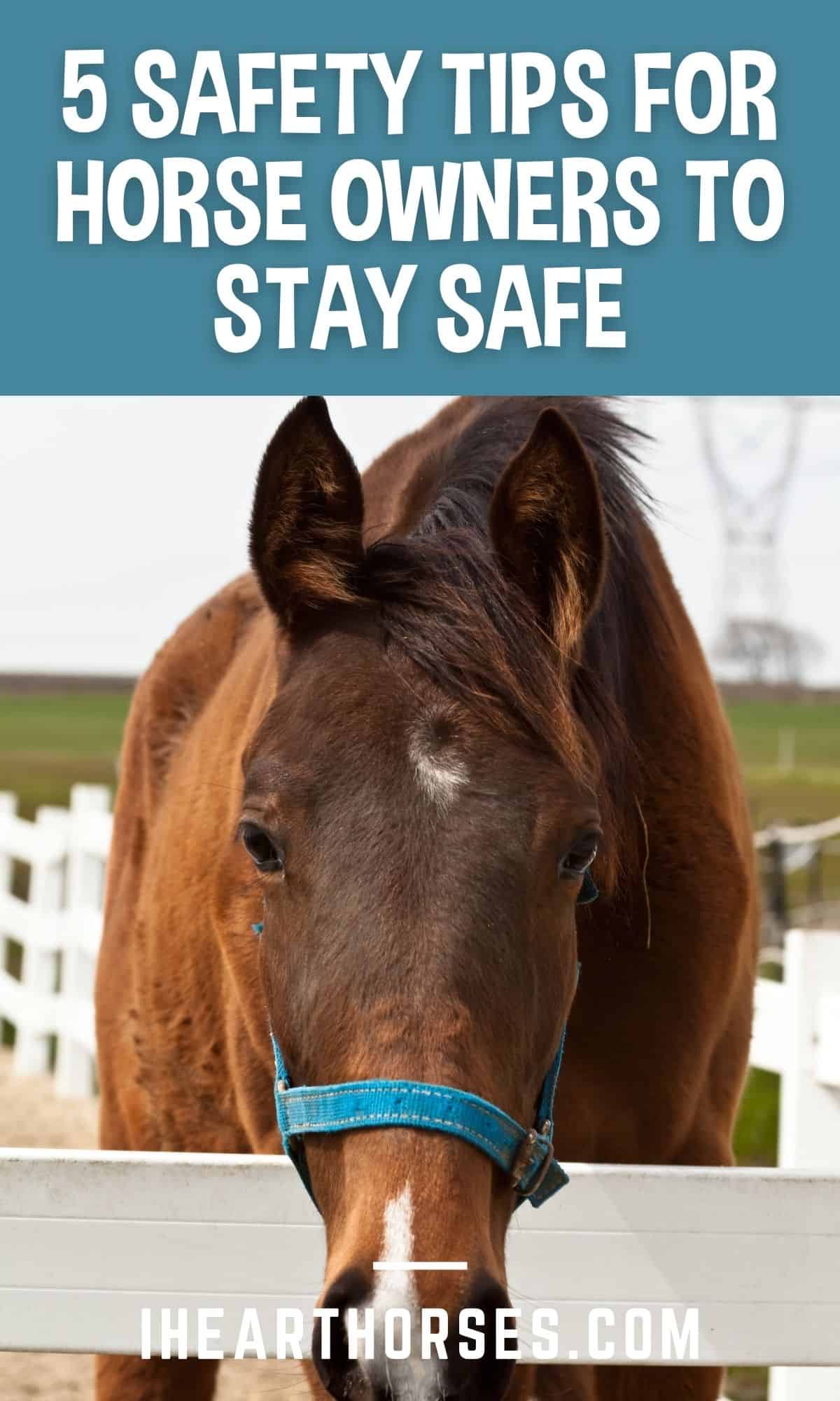 5 Safety Tips For Horse Owners When Working With Your Horse