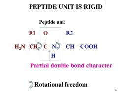 What Does R2 Represent In The Dipeptide