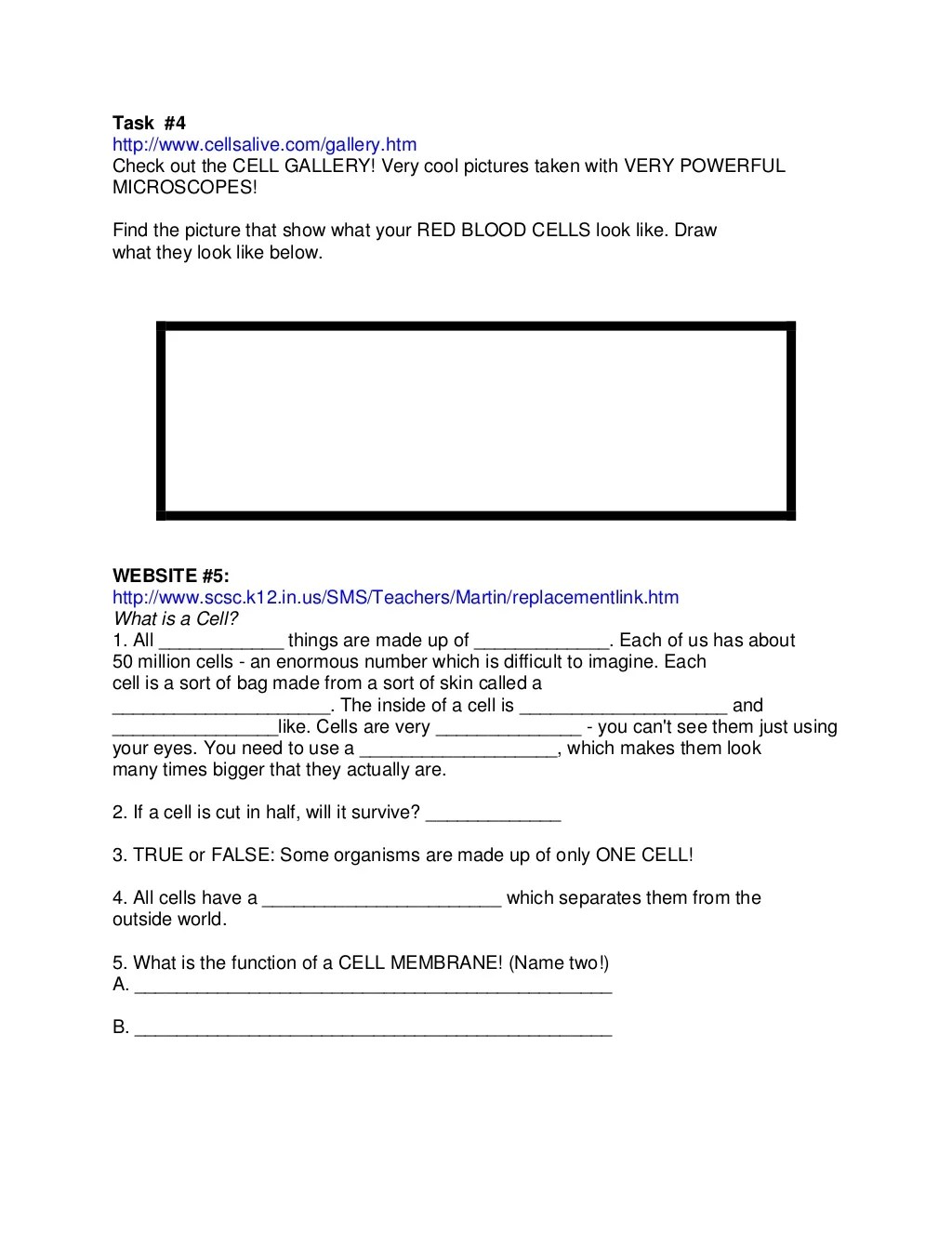 Cell Energy Webquest cell-energy-webquest