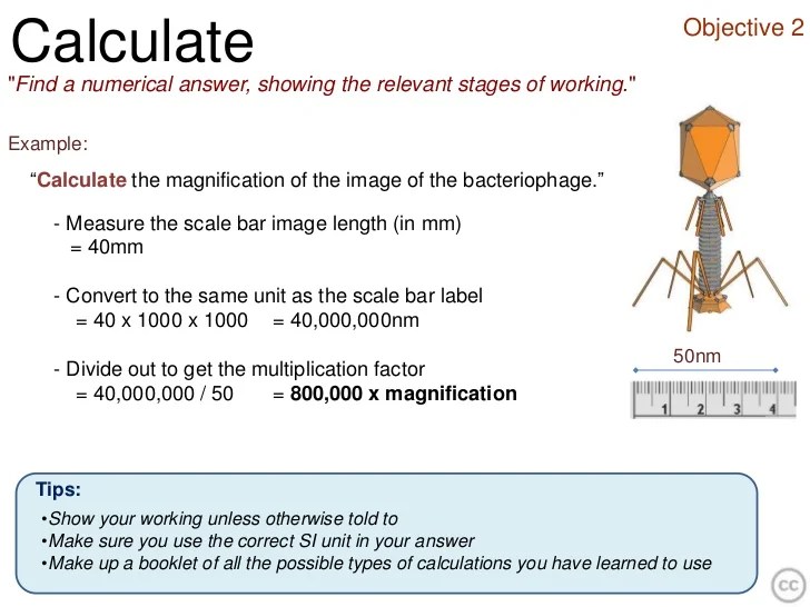 How To Draw A Scale Bar Biology At How To Draw how-to-draw-a-scale-bar-biology-at-how-to-draw