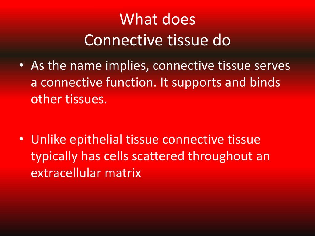 what-connective-tissue-stores-energy-athens-mutual-student-corner