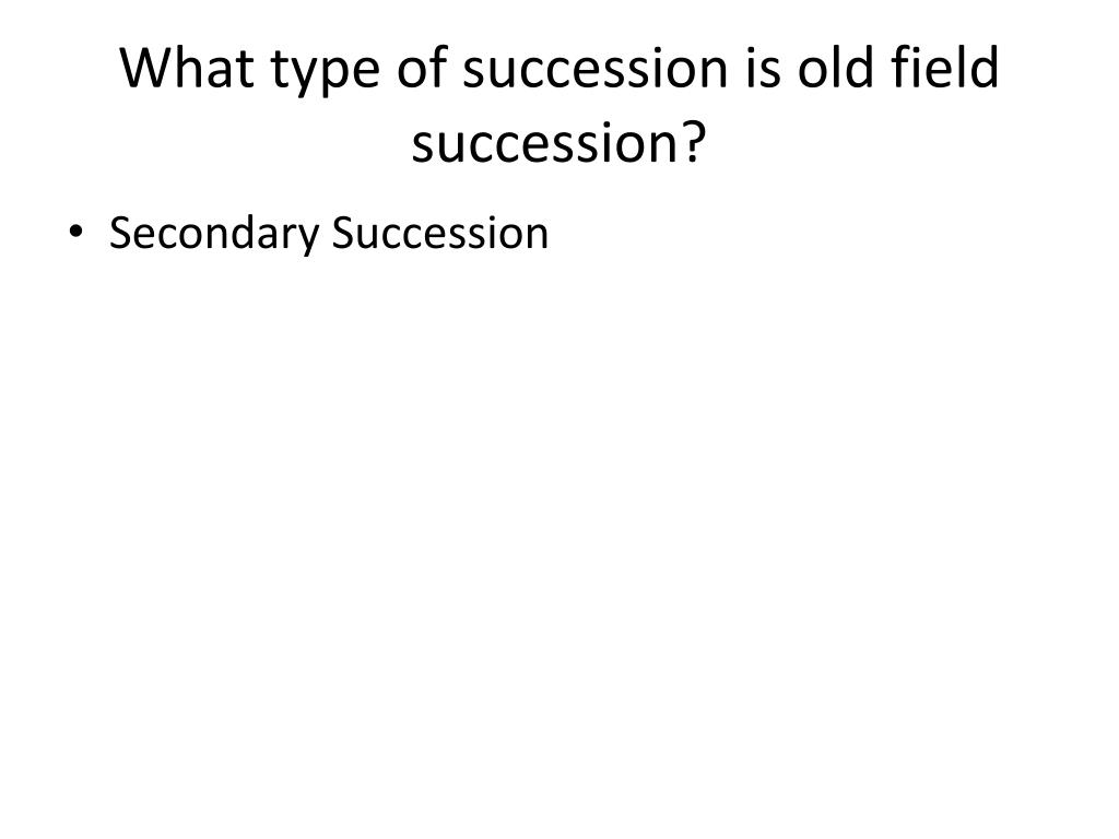 Old Field Succession Definition DEFINITIONSZE old-field-succession-definition-definitionsze