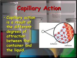 Definition Of Capillary Action DEFINITION KLW