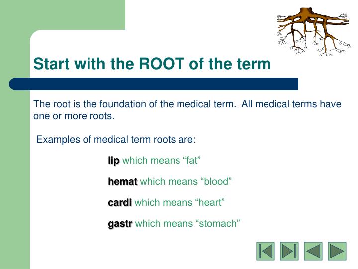 root-word-definition-medical-terminology-definition-ghw
