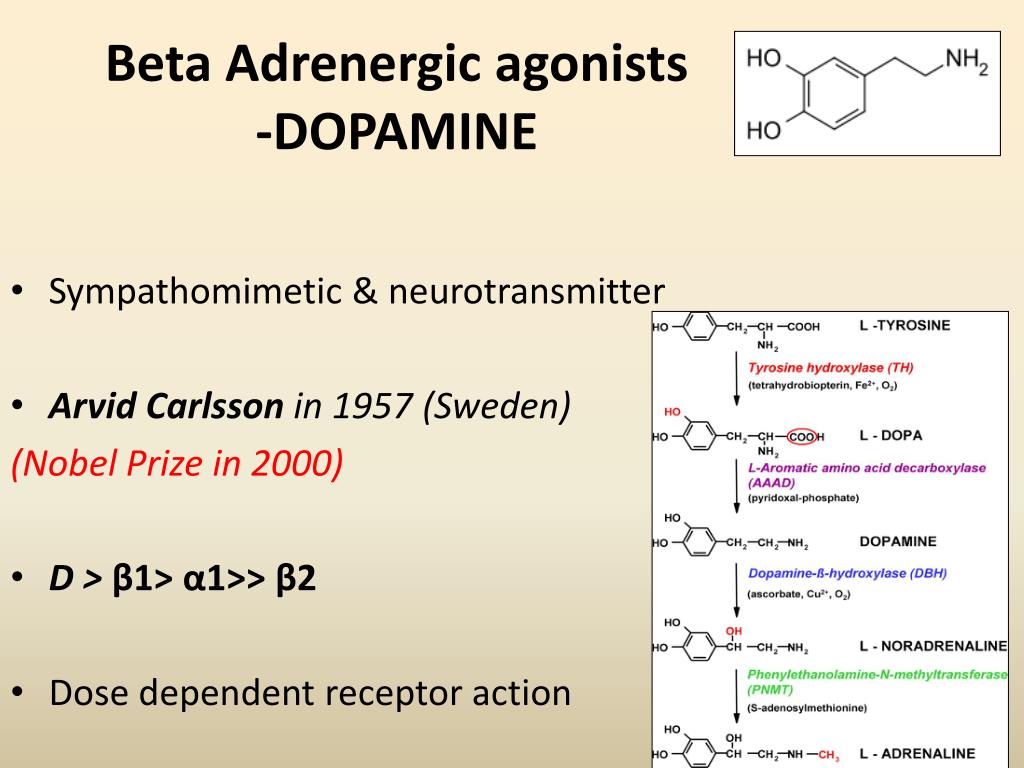 aha-guidelines-for-hypotension-dopamine