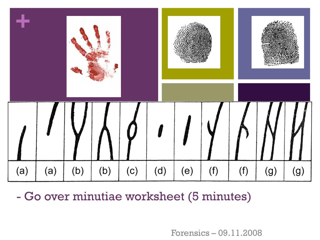 Identify Each Fingerprint Pattern Answer Key identify-each-fingerprint-pattern-answer-key