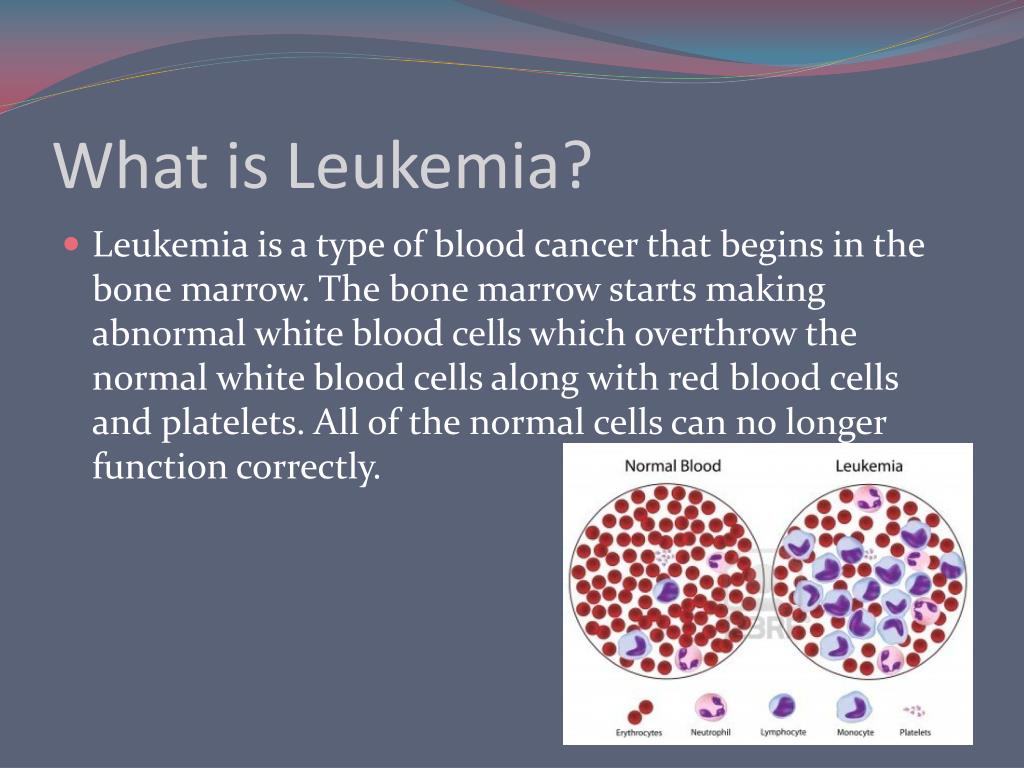 What Is The Medical Definition Of A Leukemia DEFINITION VGF what-is-the-medical-definition-of-a-leukemia-definition-vgf