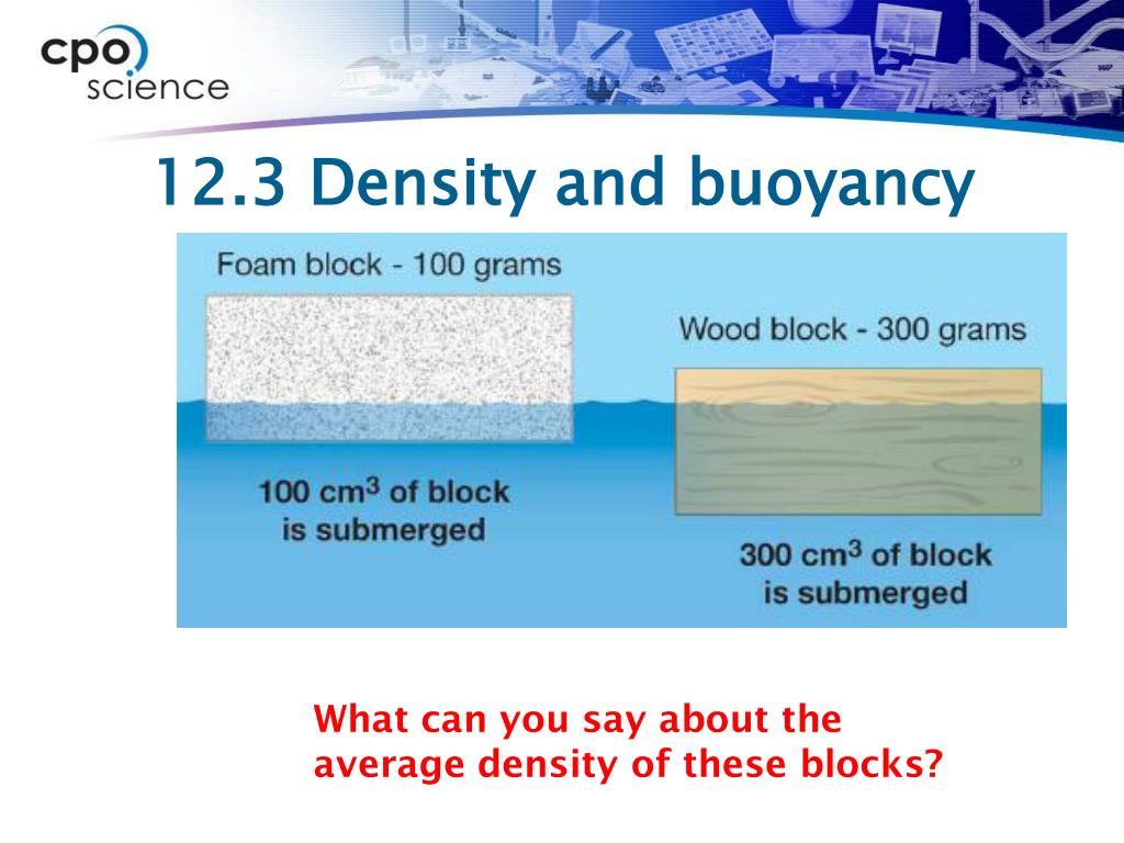 30 12 3 Buoyancy Worksheet Answers 2023 Athens Mutual Student Corner 30-12-3-buoyancy-worksheet-answers-2023-athens-mutual-student-corner
