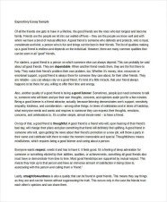 Expository Essay Template Get Free Templates