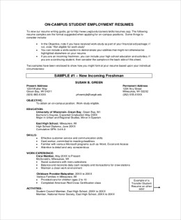 Objective Statement For Resume College Student Financial Report