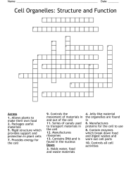 Cell Structure Crossword Puzzle Pdf Eutonie Answer Key For Worksheet Cell Structure Crossword Puzzle Pdf Eutonie Answer Key For Worksheet