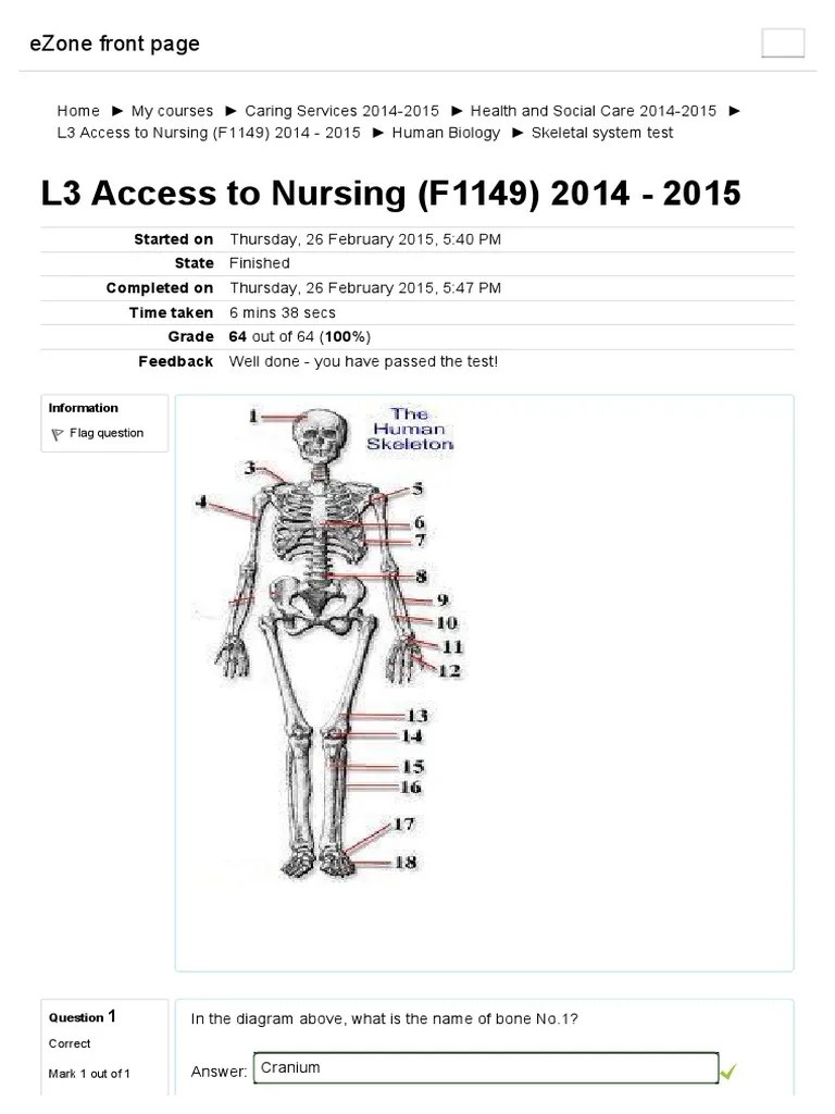Chapter 5 The Skeletal System Review Questions Answers