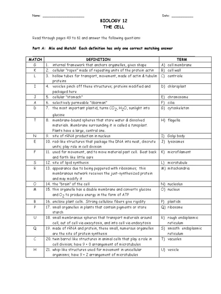 awasome-cell-membrane-structure-and-function-matching-answer-key