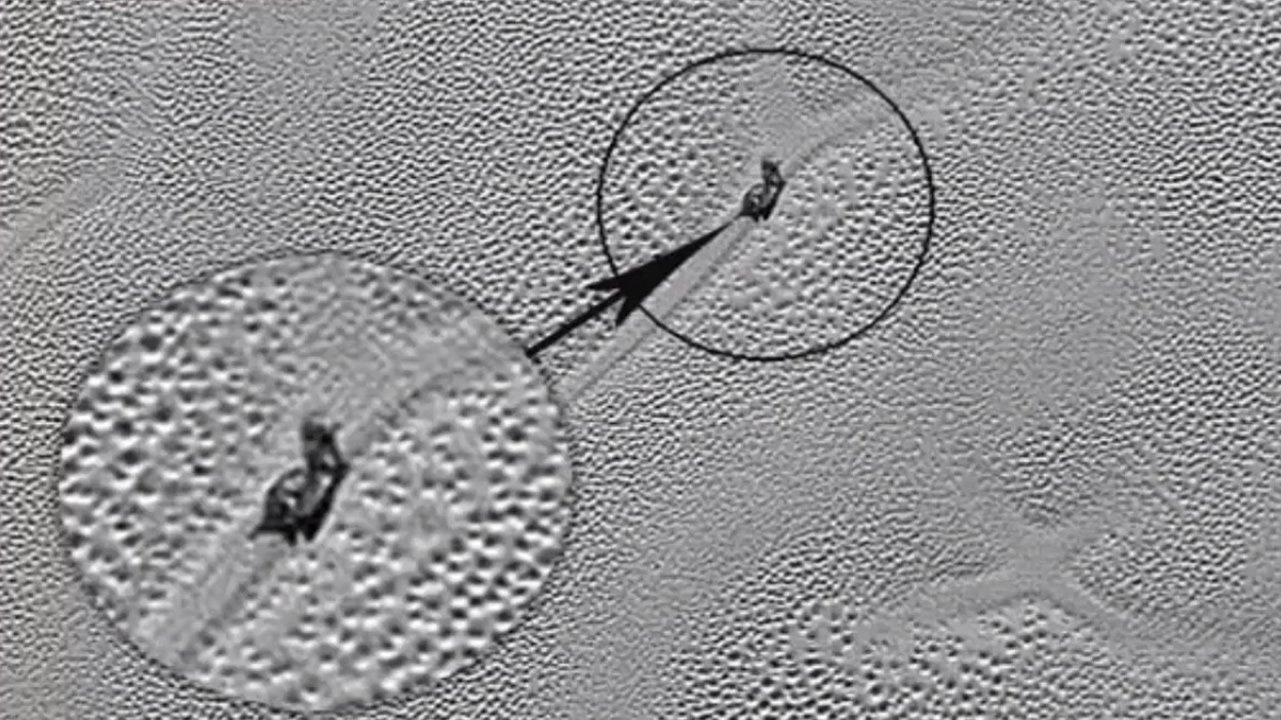 Capture a "Creature" Sliding on the Surface of Pluto (Video) - Infinity ...